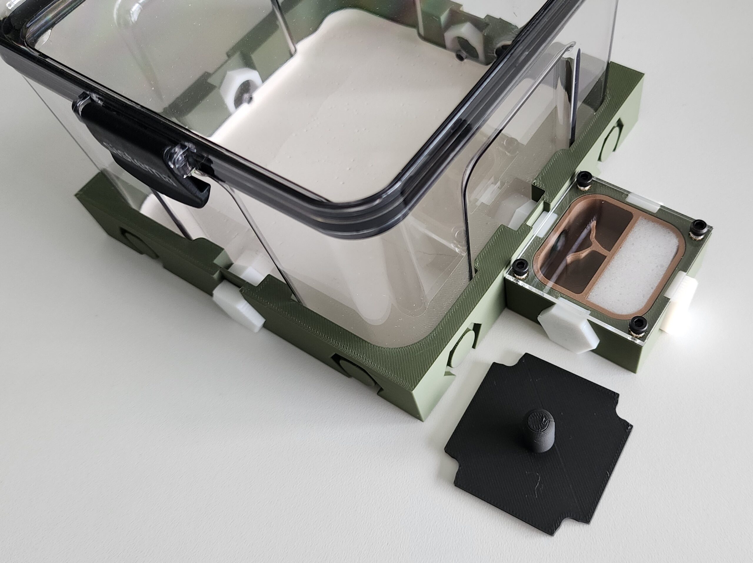 Modular Nest Set – Semi-claustral founding – Kiwi Ants