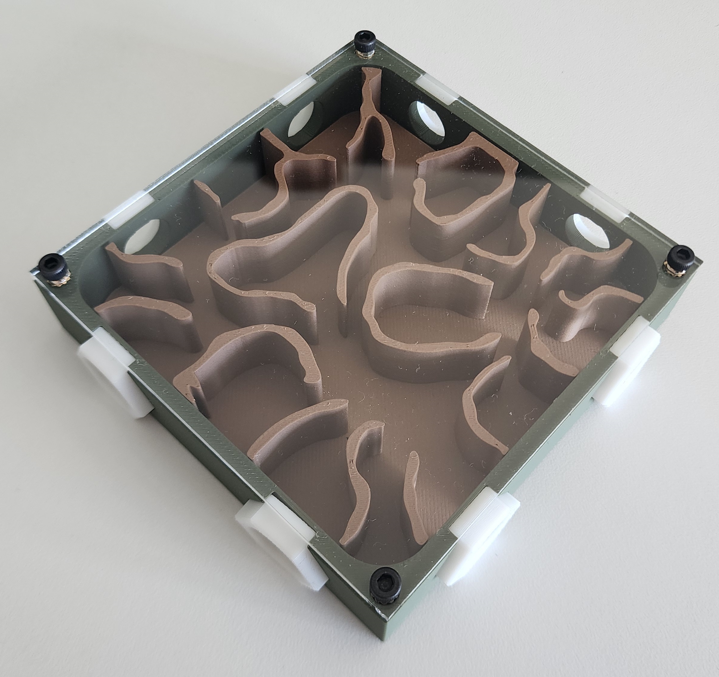 Modular Nest 100mm – Variant Novo 2 – Kiwi Ants