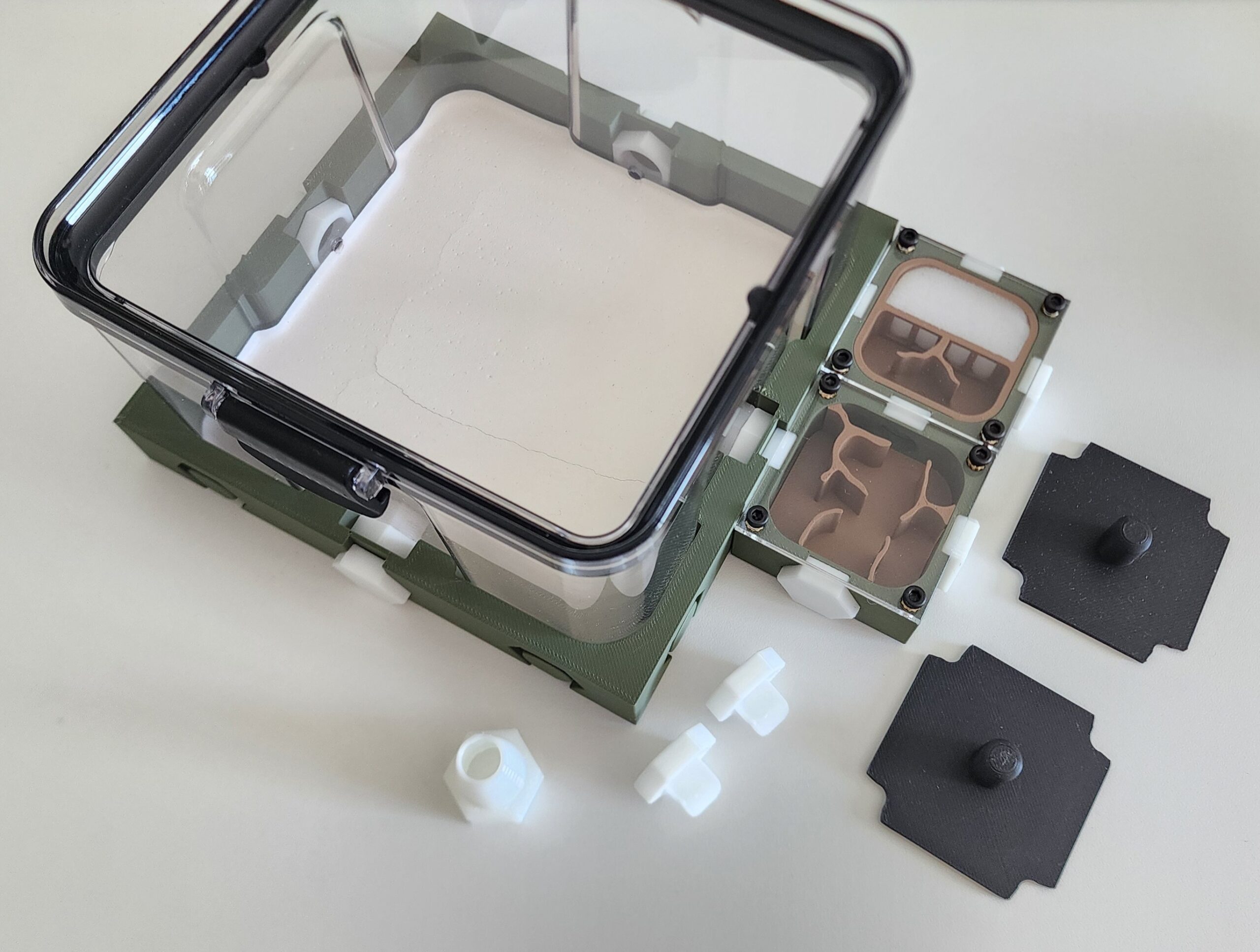 Modular Nest Set 50mm – Large Ants – Kiwi Ants