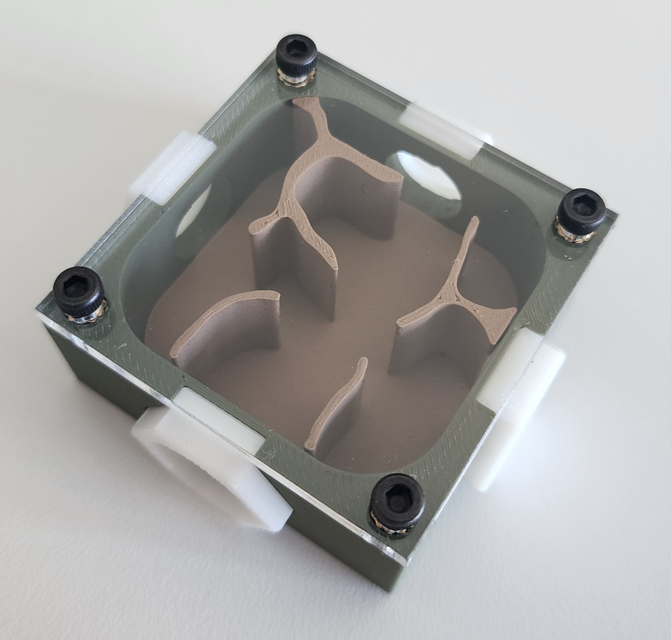 Modular Nest 50mm – Large Ants – Kiwi Ants